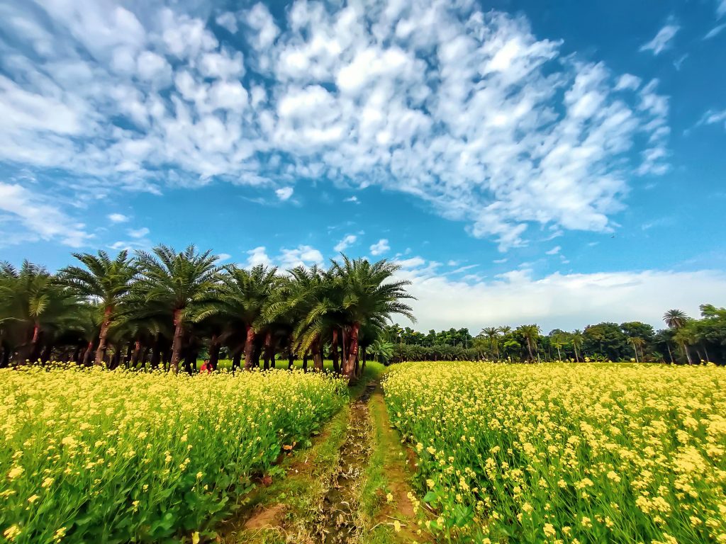 Colourful land - PixaHive