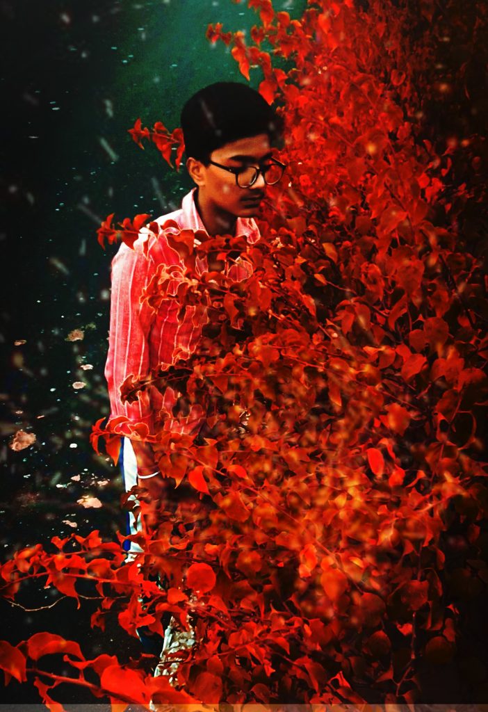 Dark editing - PixaHive