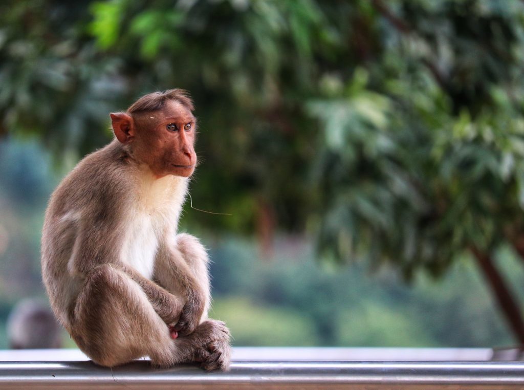 Deep thinking - PixaHive