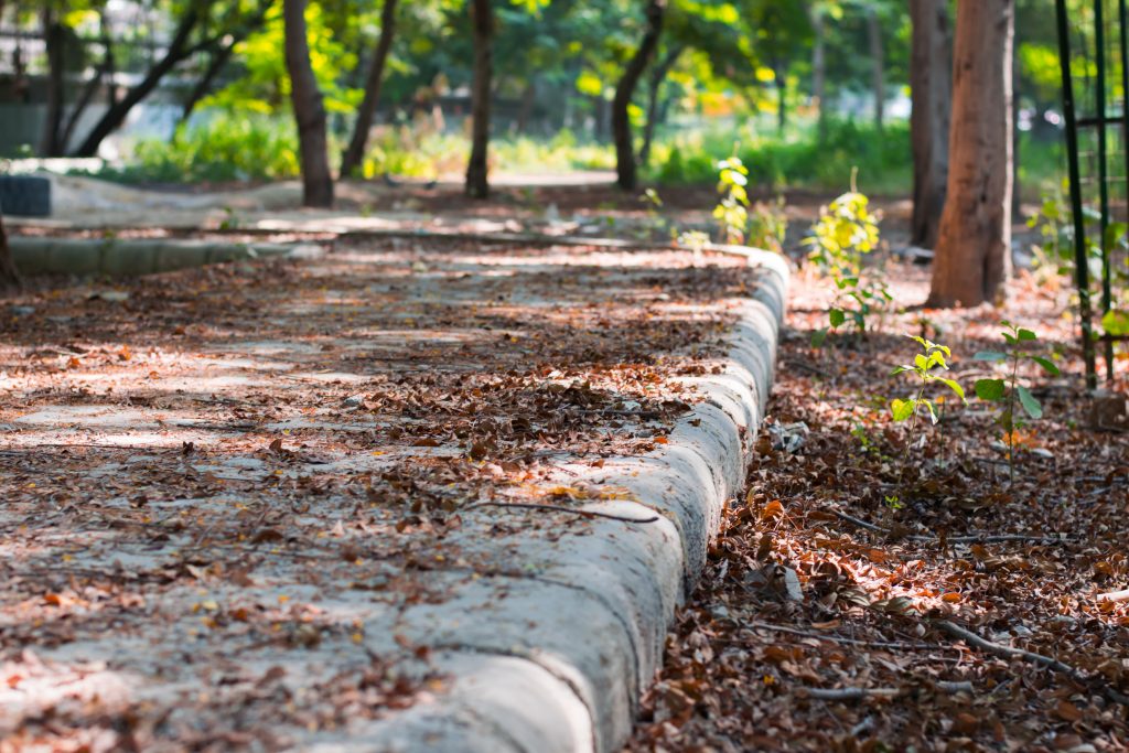 Dirty walkway in a park - PixaHive