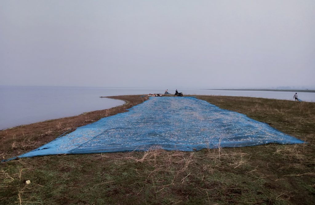 Fishing net on a beach - PixaHive