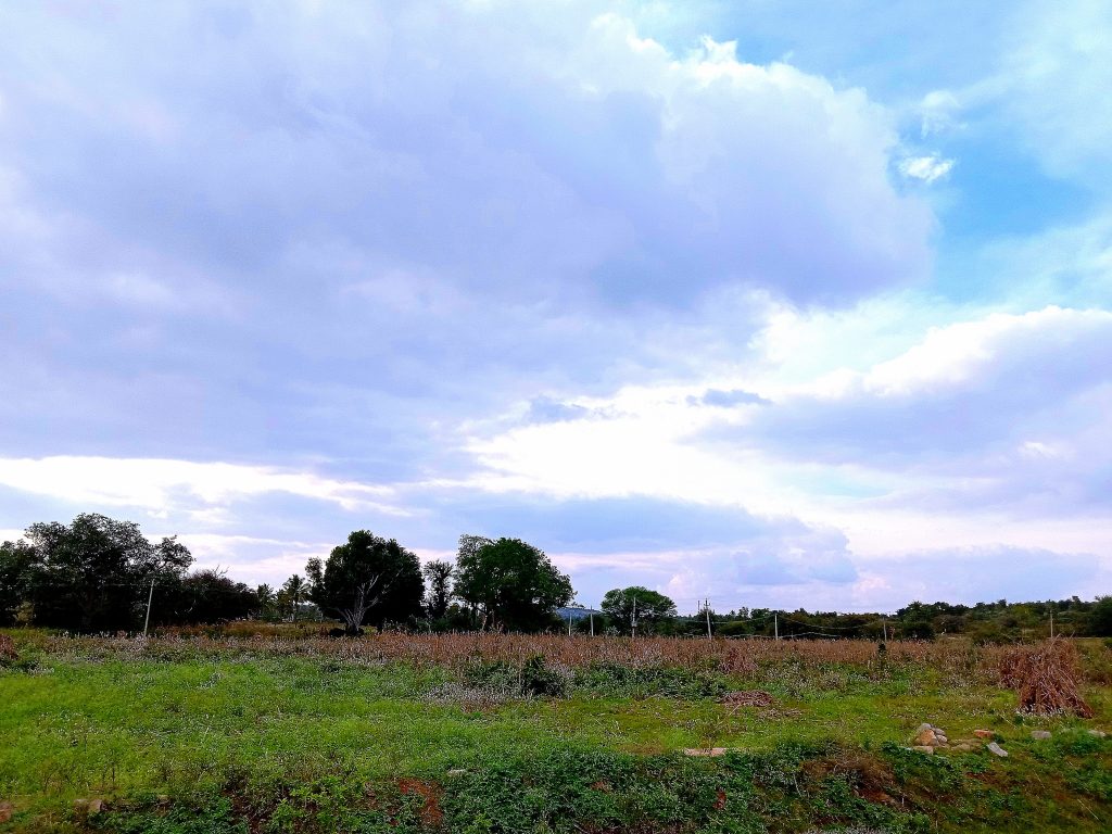 Form fields - PixaHive