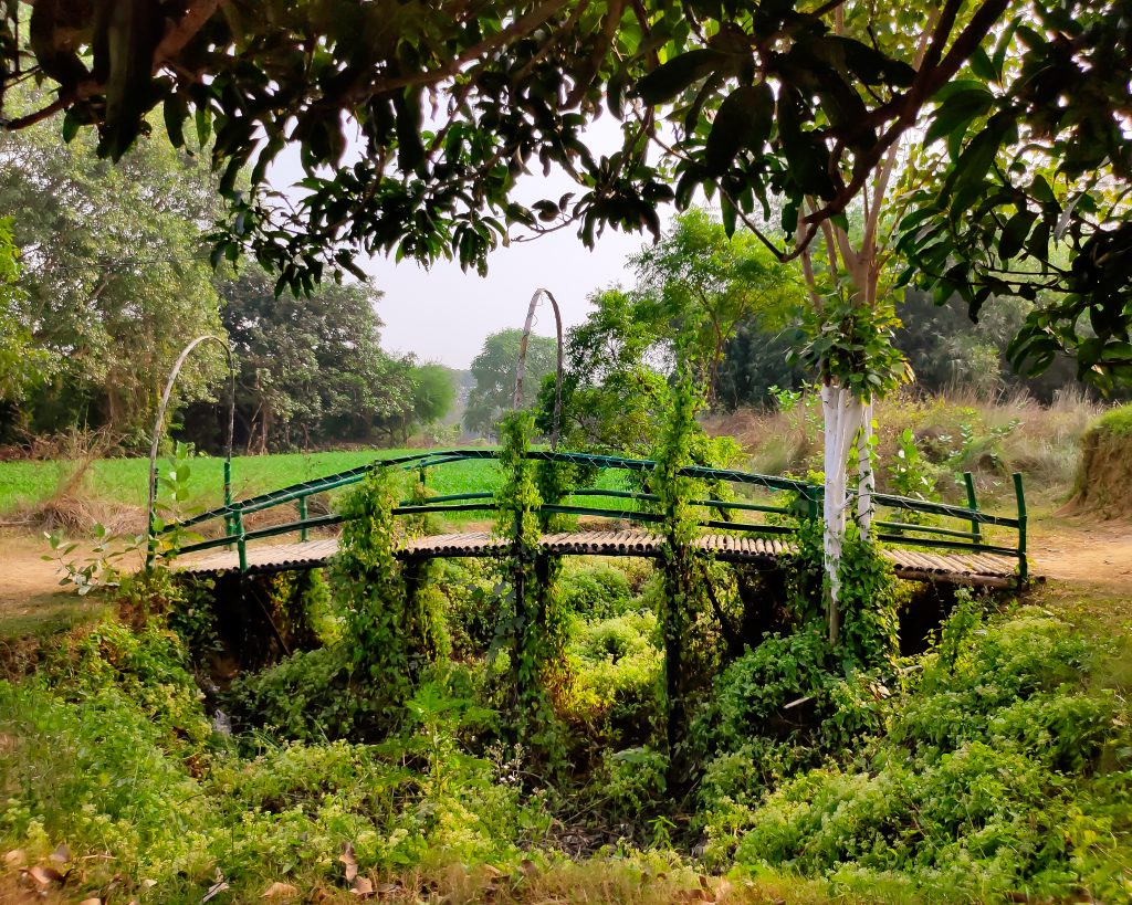 Green Bridge - PixaHive