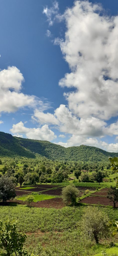 Greenery and clouds - PixaHive
