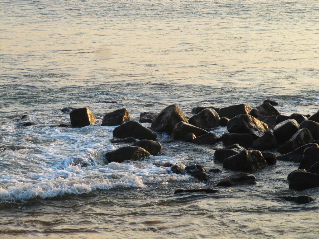 Kerala Chettuva beach - PixaHive