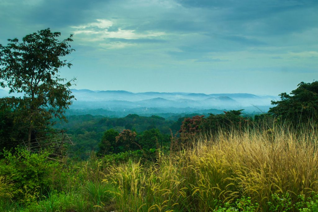 Kottappara hills - PixaHive