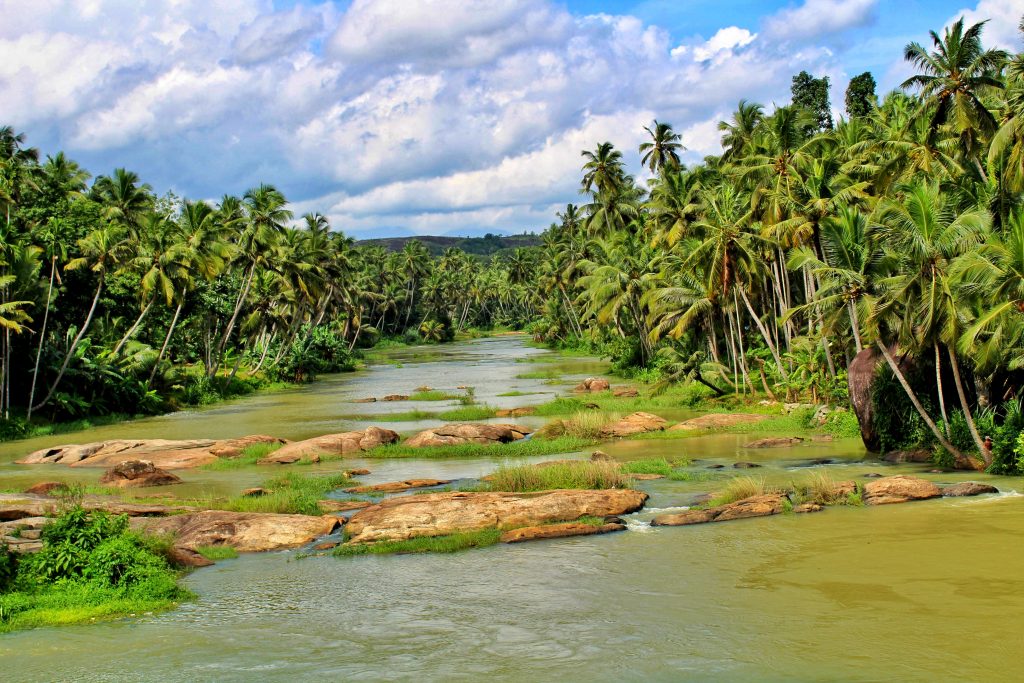 Nature: river stream - PixaHive