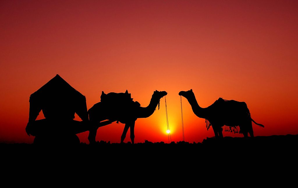 Pushkar, Rajasthan - PixaHive