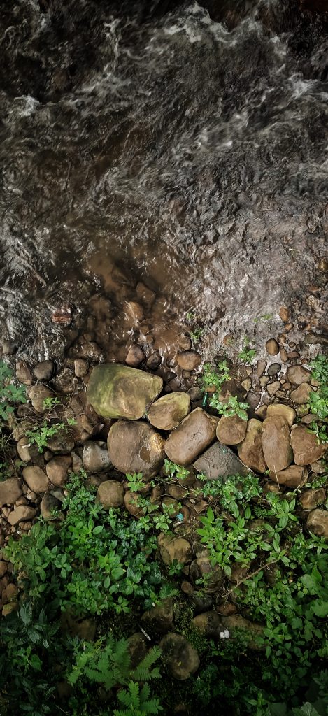 River top view - PixaHive