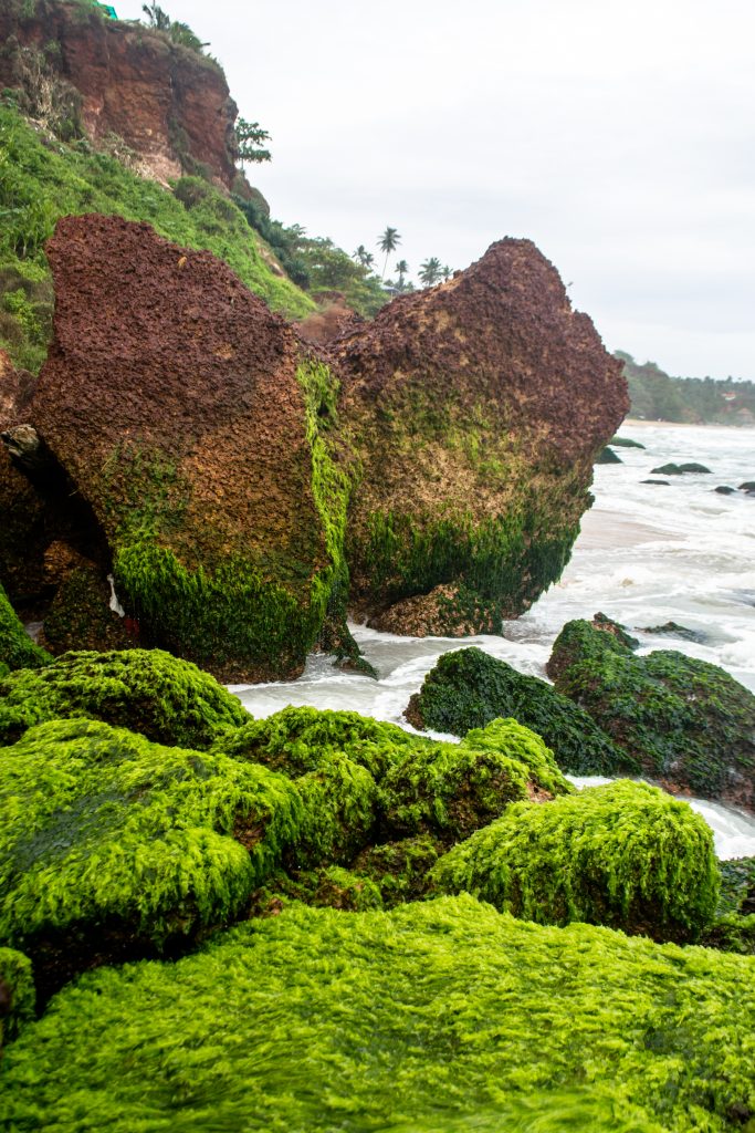 Rocks on Varkala beach - PixaHive