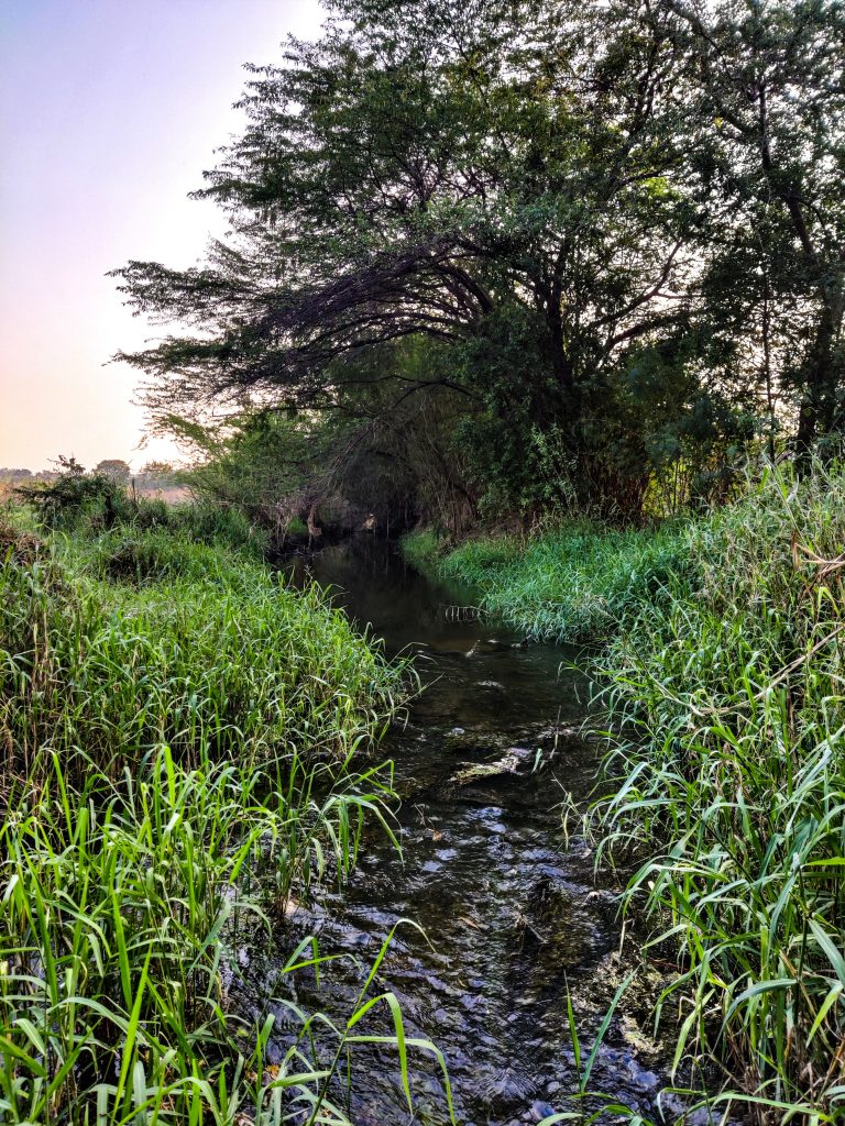 A narrow water channel - PixaHive