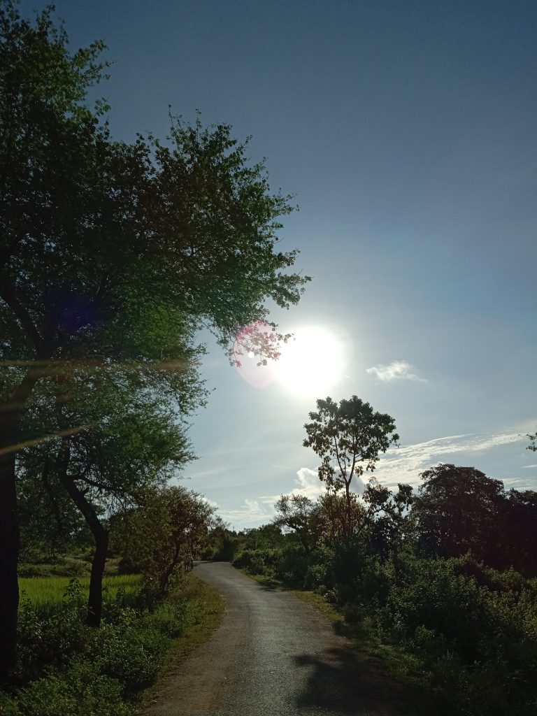 Trees and a road to a village - PixaHive