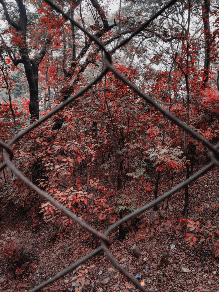 Wire mesh - PixaHive