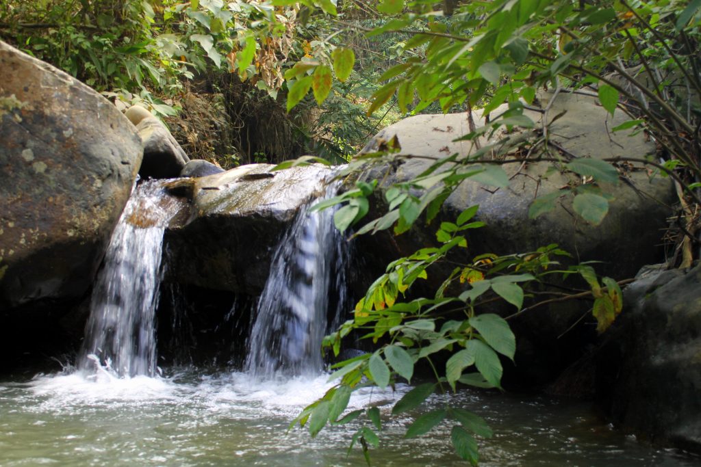 beautiful Stream - PixaHive