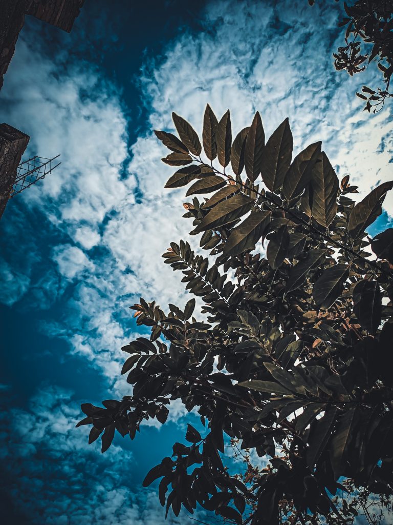 cloudy sky - PixaHive