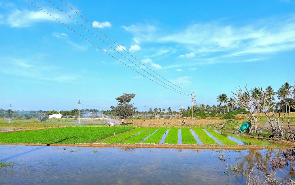 farm view - PixaHive