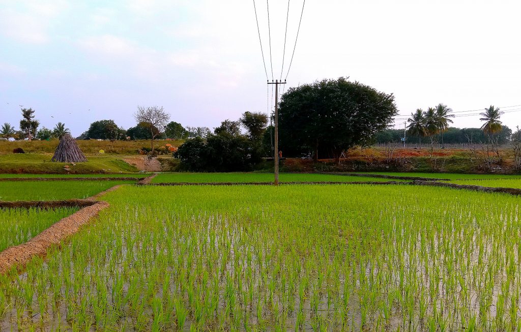 farm view - PixaHive