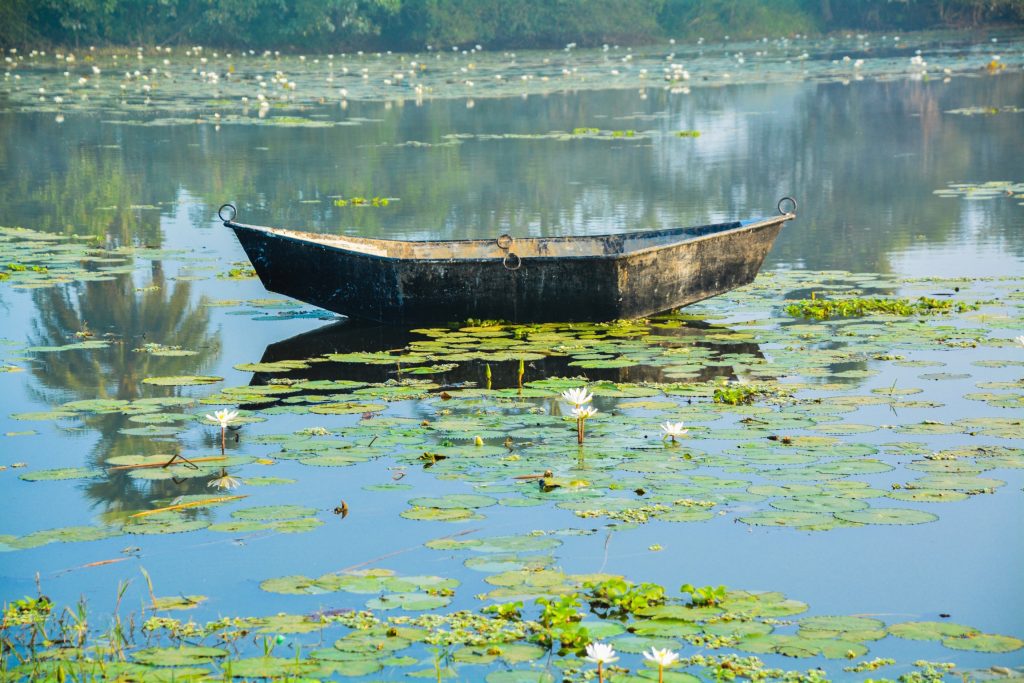 Boat in the pond - PixaHive