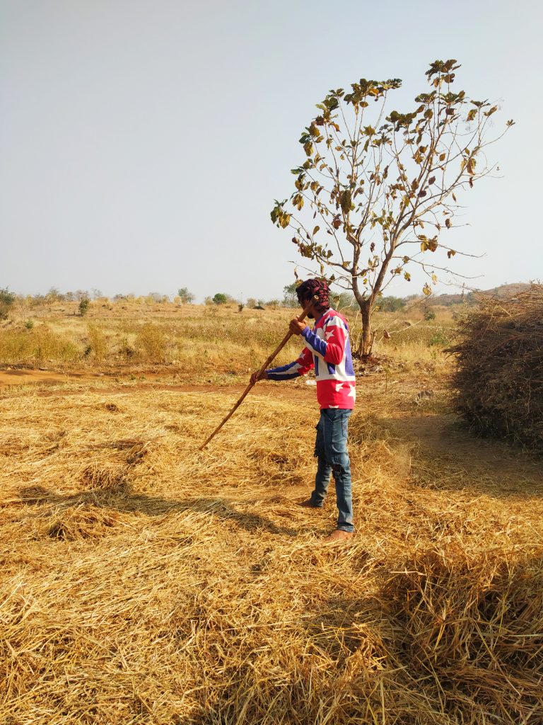 Boy working in the farm - PixaHive