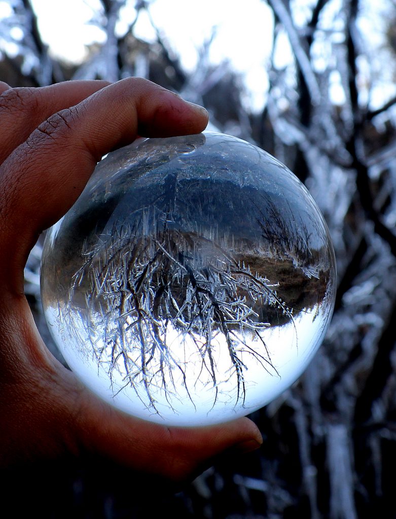 Trees reflection on Crystal ball - PixaHive