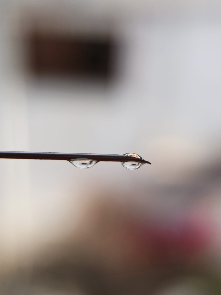 Drops on needle - PixaHive