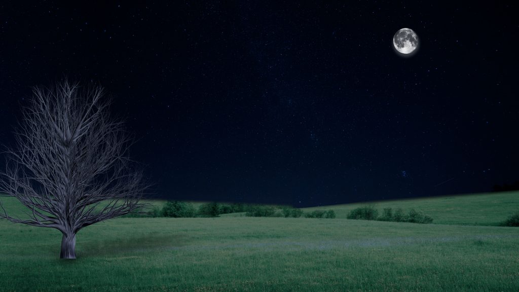 Dry tree in the green farm at night - PixaHive