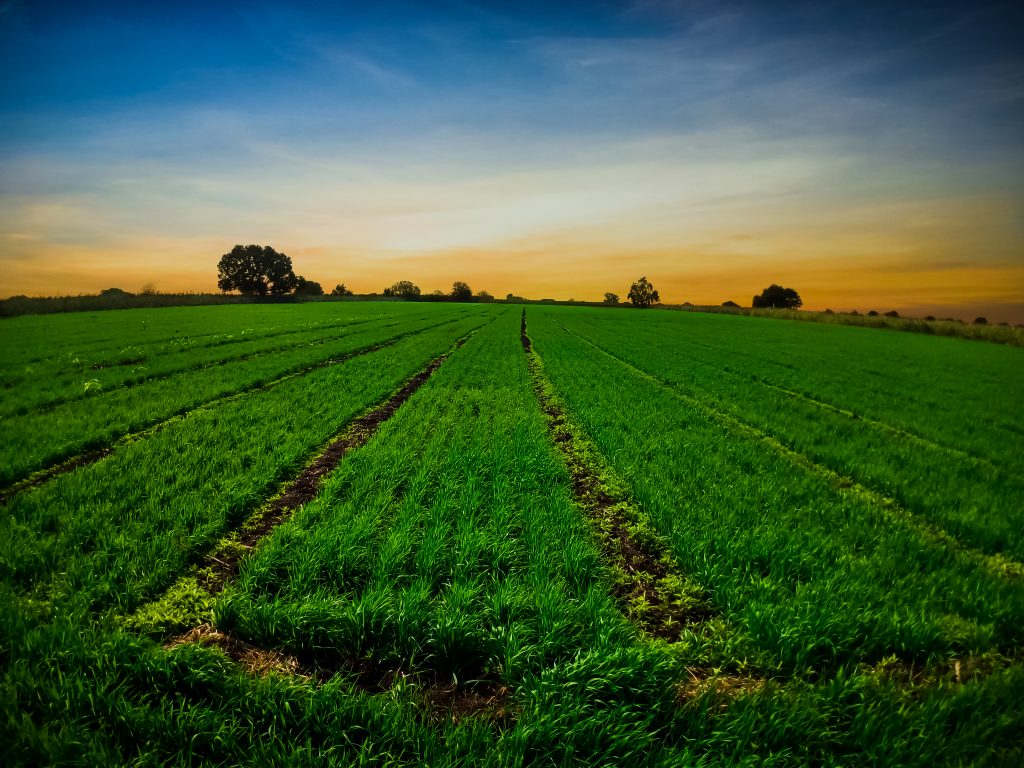 Farm view in Evening - PixaHive