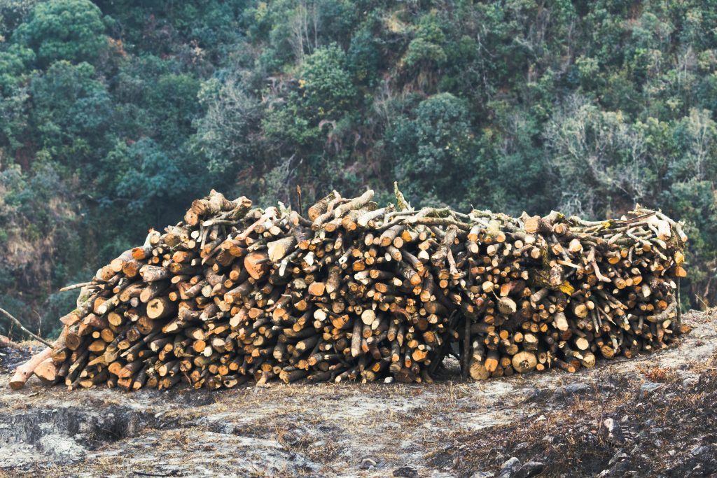 wood stock in forest - PixaHive