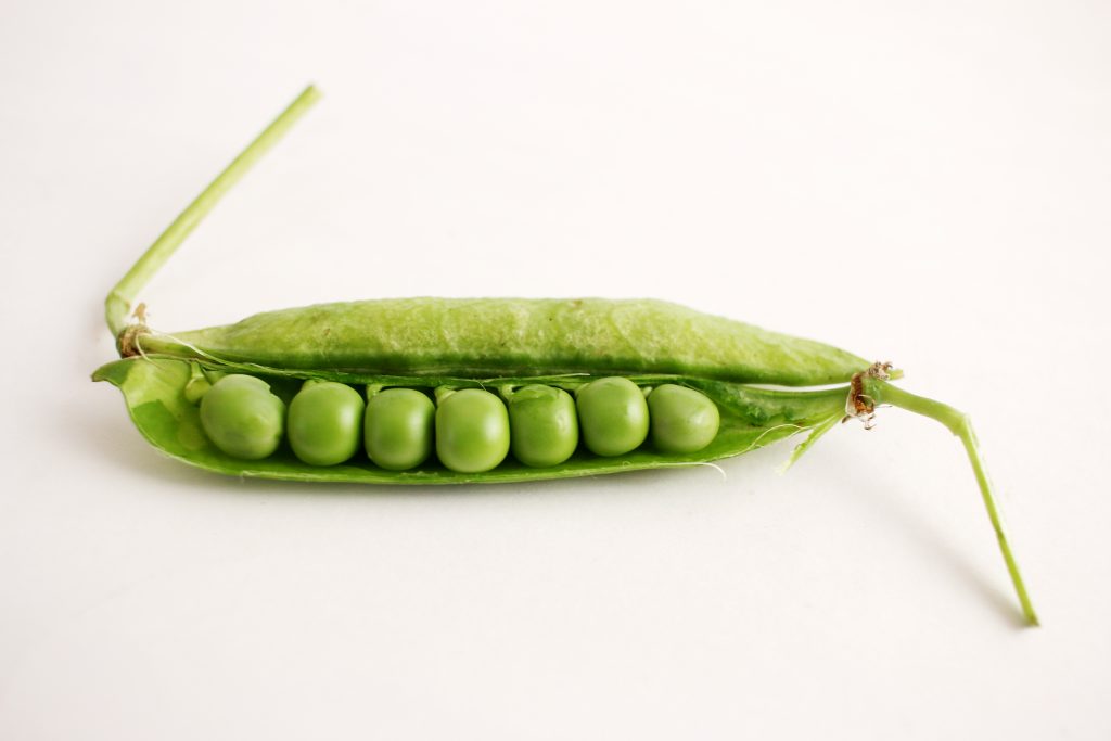 Green peas - PixaHive