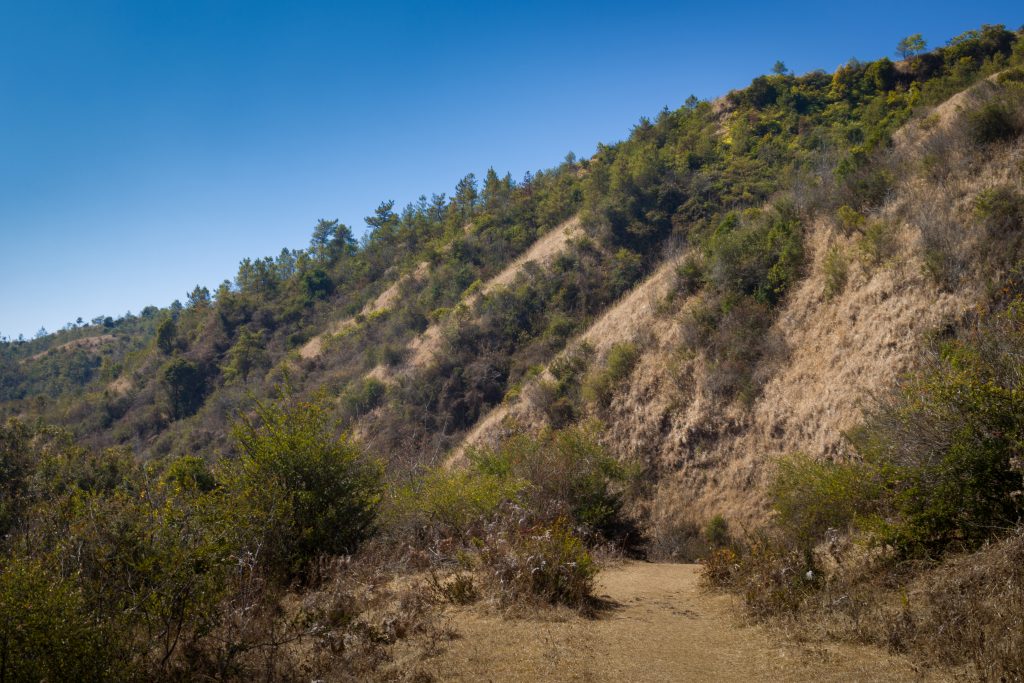 Hills terrain - PixaHive