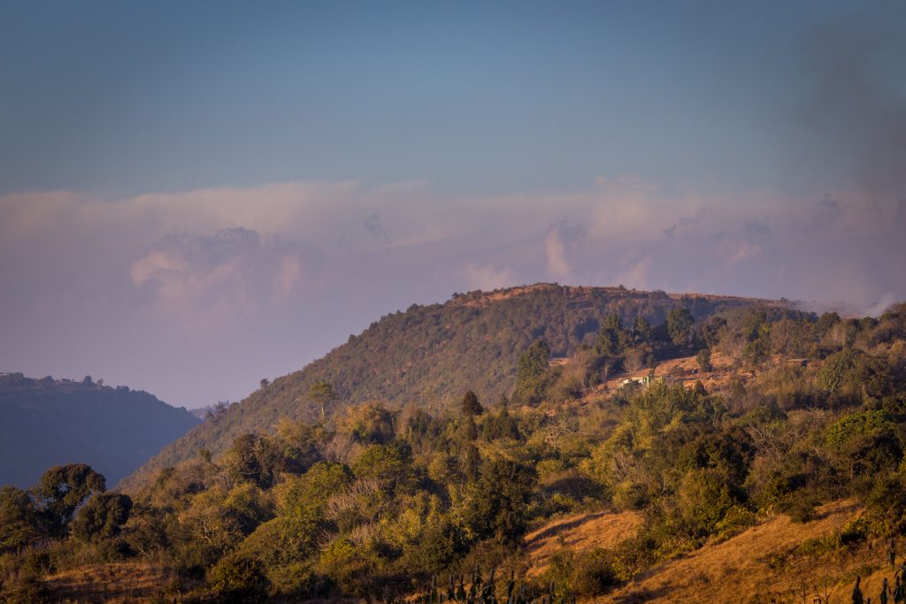 Landscape with sunset light - PixaHive
