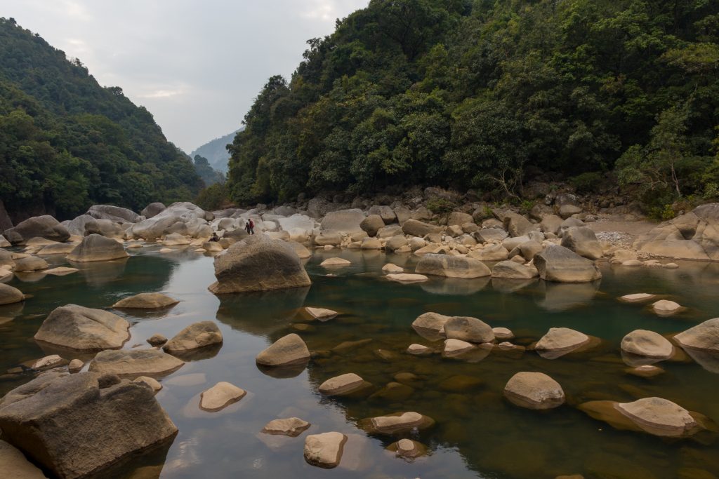 River in the forest - PixaHive