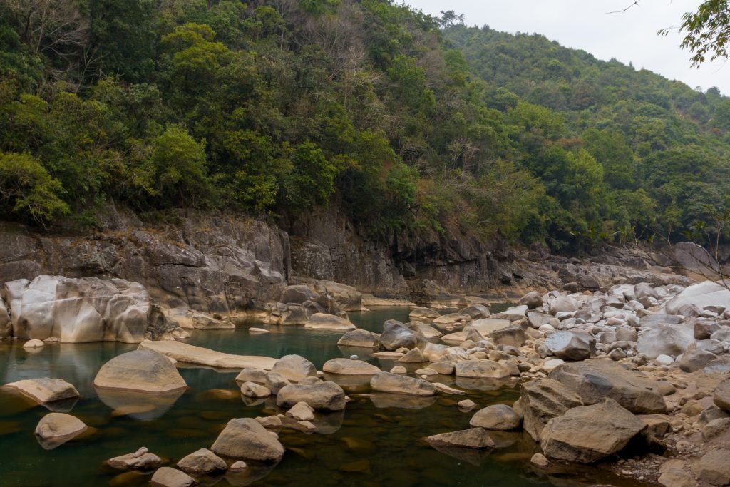 River in the forest - PixaHive