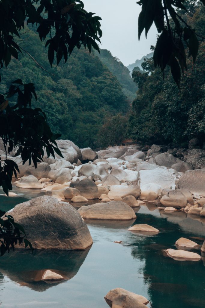 River in the forest - PixaHive