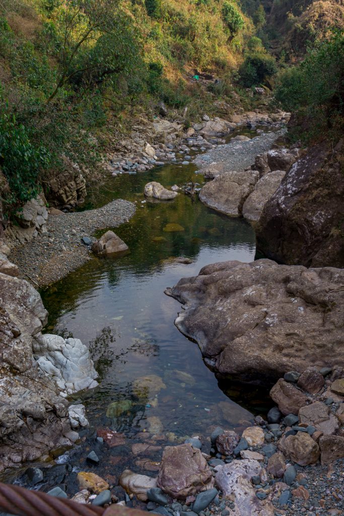 River in the forest - PixaHive