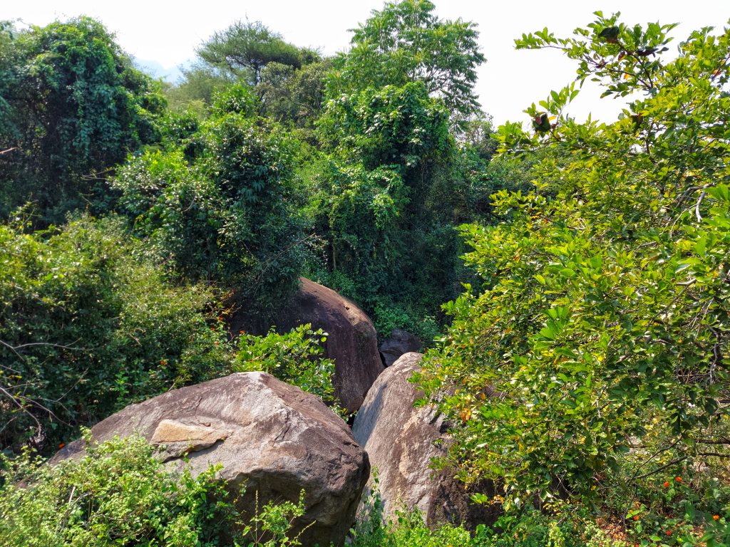 Rocks in the forest - PixaHive
