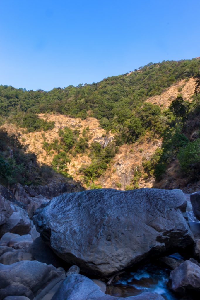 Rocks in the forest - PixaHive