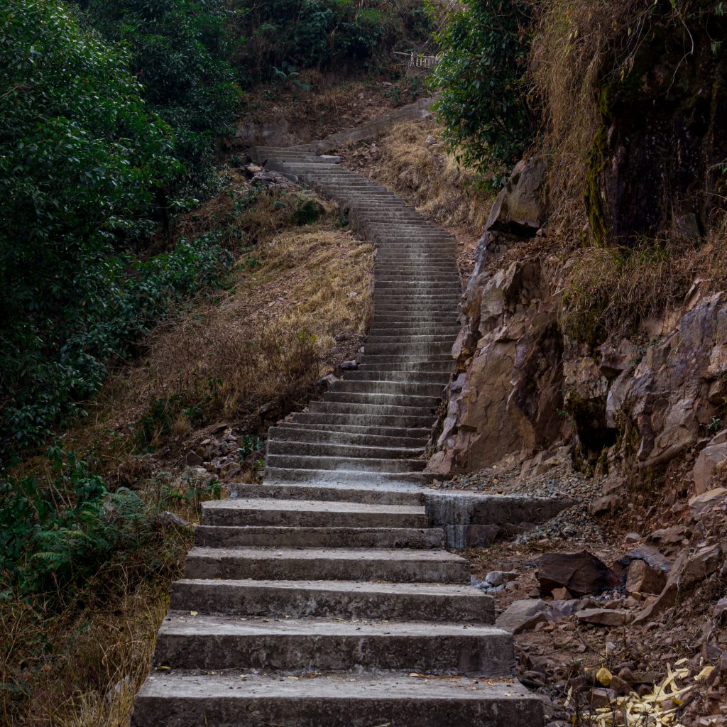 Stairs in the forest - PixaHive