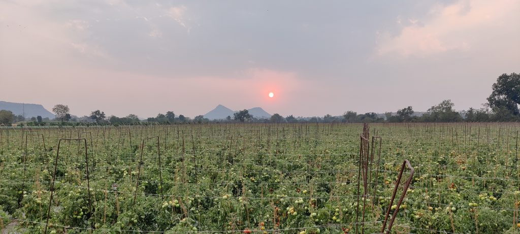 farm view - PixaHive