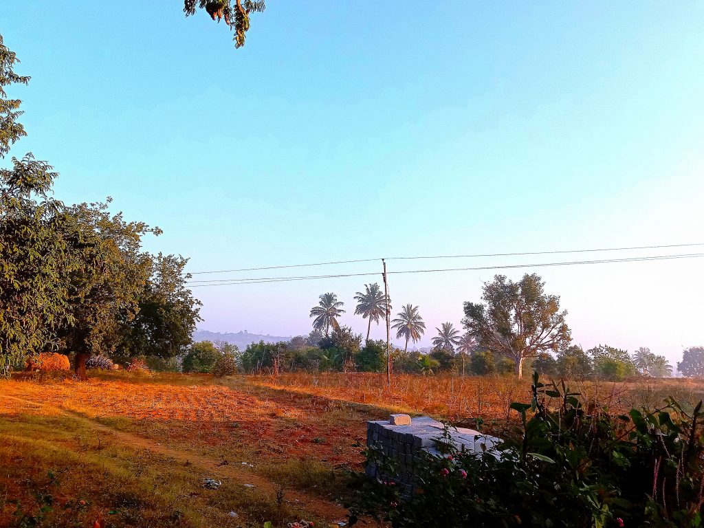 farm view - PixaHive