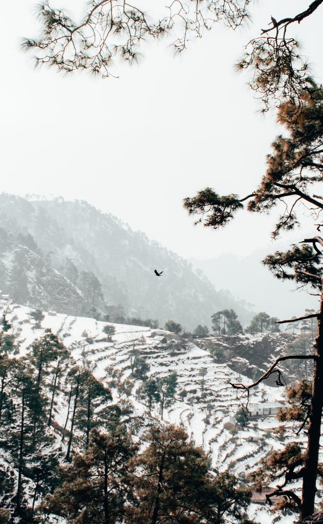 Snow fall on mountains - PixaHive