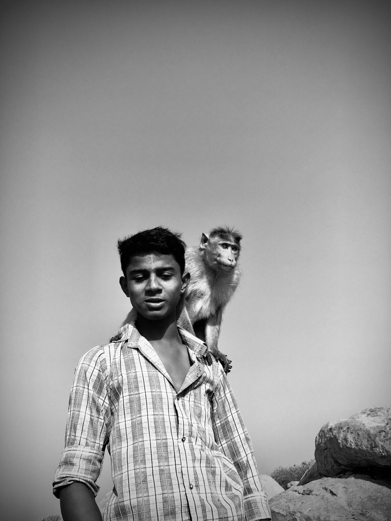 A monkey keeper - PixaHive