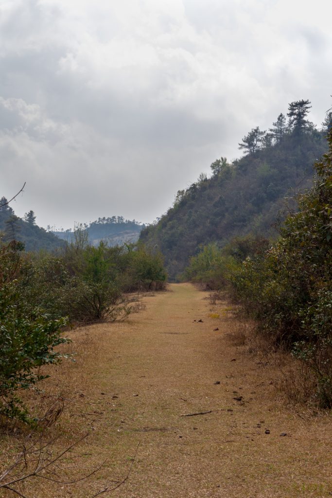 A path on a mountain - PixaHive