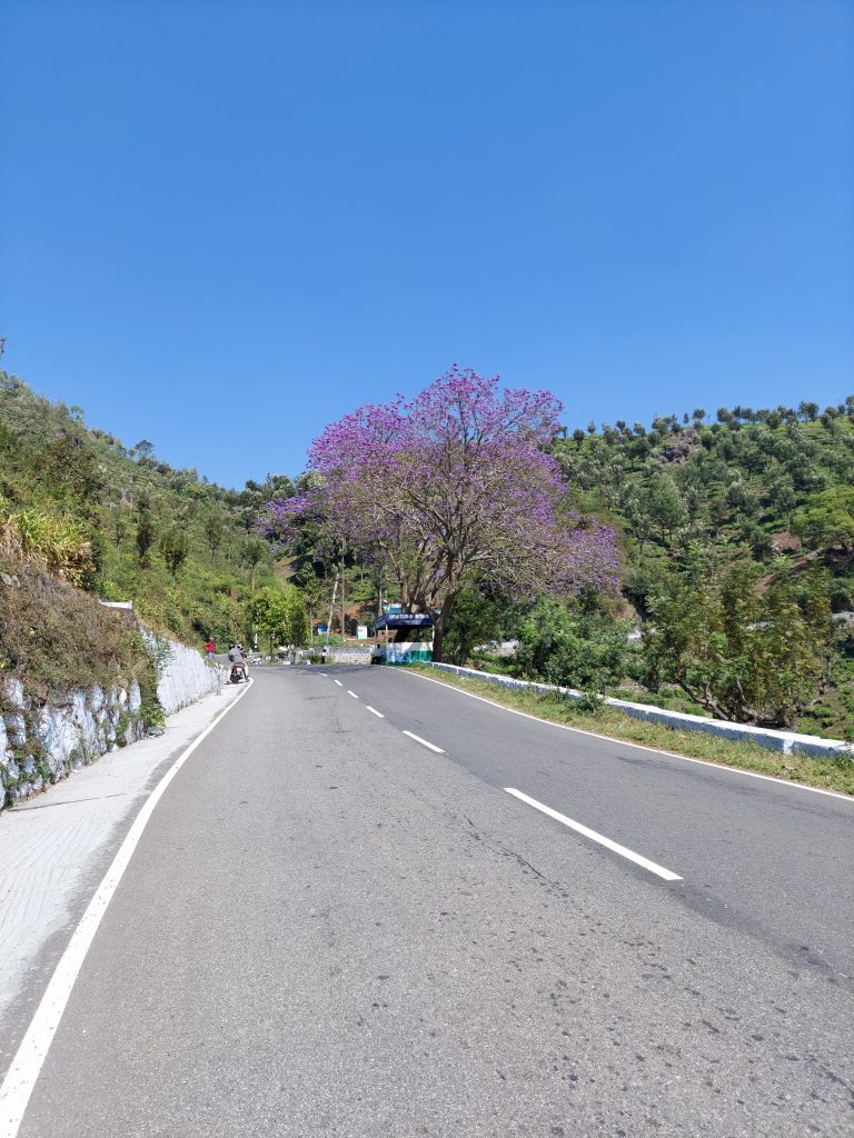Beautiful uphill view from ooty road - PixaHive