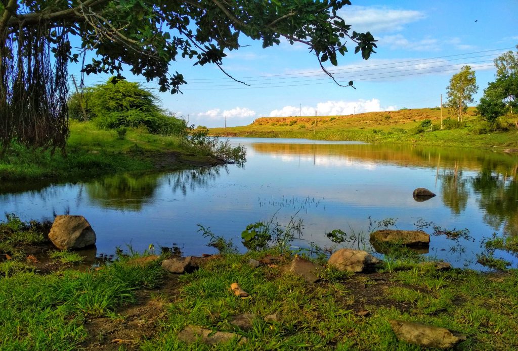 Clean water of pond - PixaHive