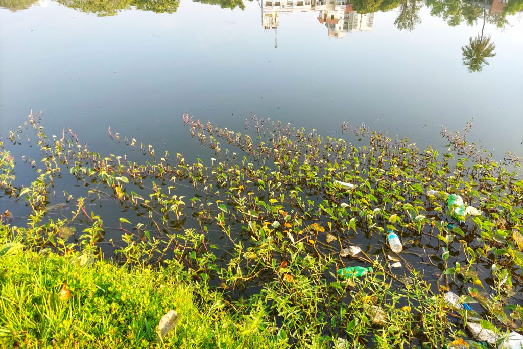 Garbage and plastic dumps at lake - PixaHive