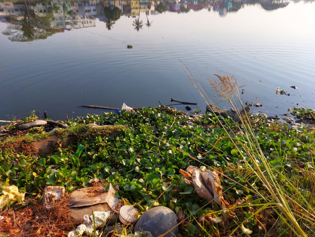 Garbage near a water resource - PixaHive
