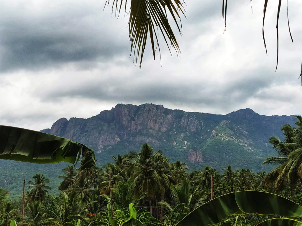 Mountain View - PixaHive