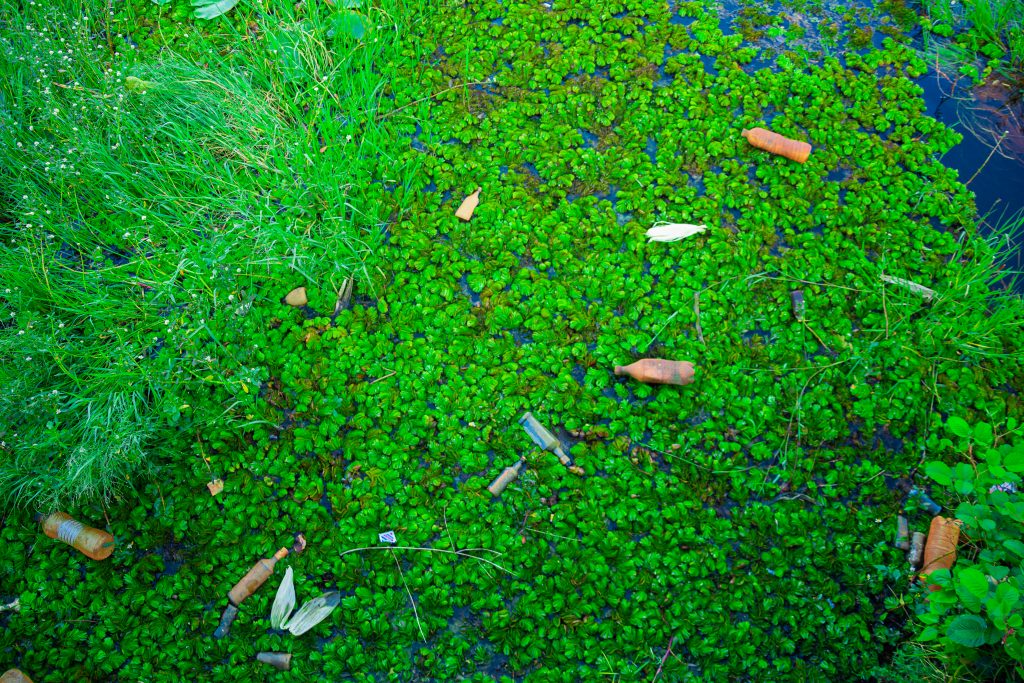 Plastic bottles floating in a lake - PixaHive