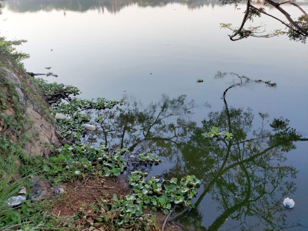 A dirty water lake - PixaHive